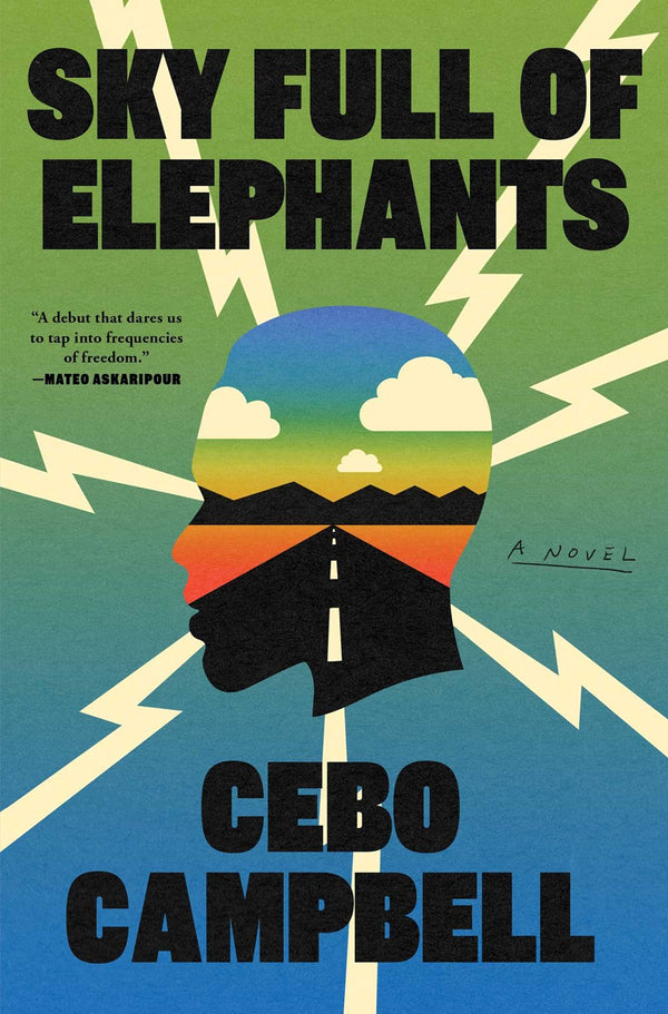 Sky Full of Elephants by Cebo Campbell | Afrori Books LTD