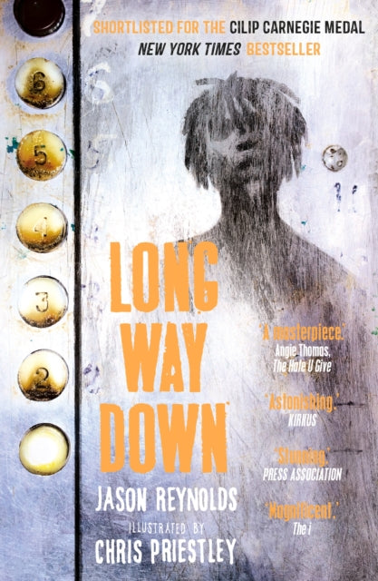 Long Way Down by Jason Reynolds | Afrori Books LTD
